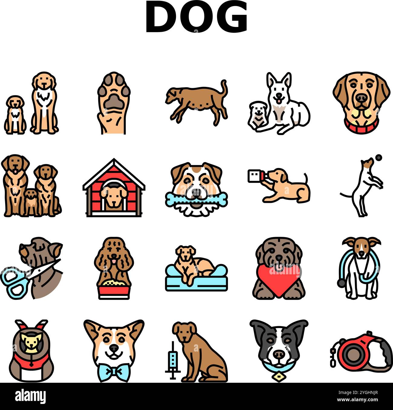 dog breeding genetics pedigree icons set vector Stock Vector Image ...