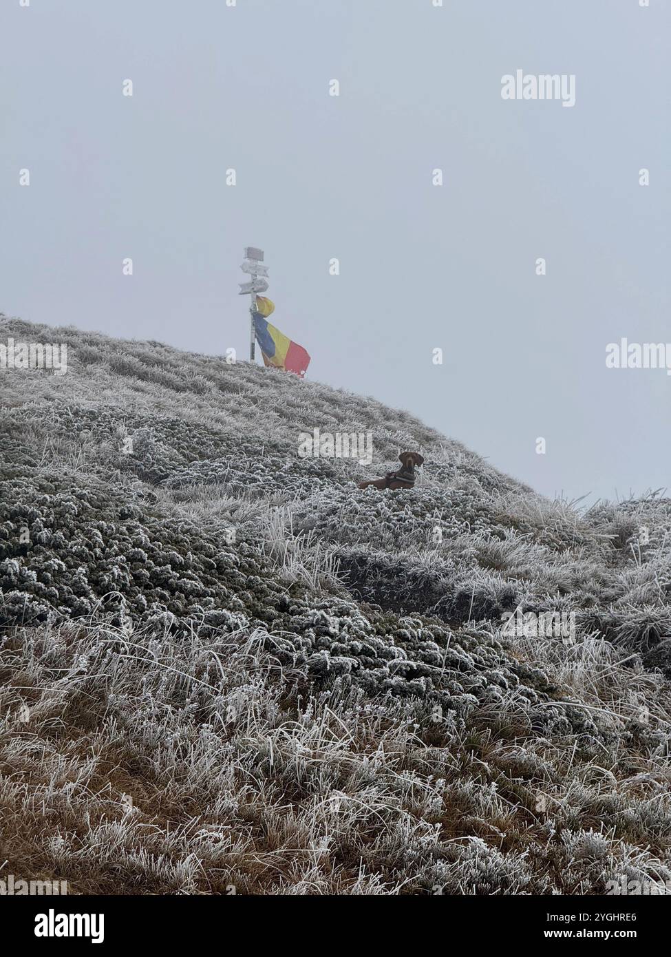 Ciucas mountains in winter hi-res stock photography and images - Alamy