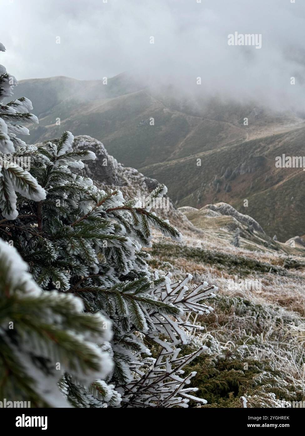 Ciucas mountains in winter hi-res stock photography and images - Alamy