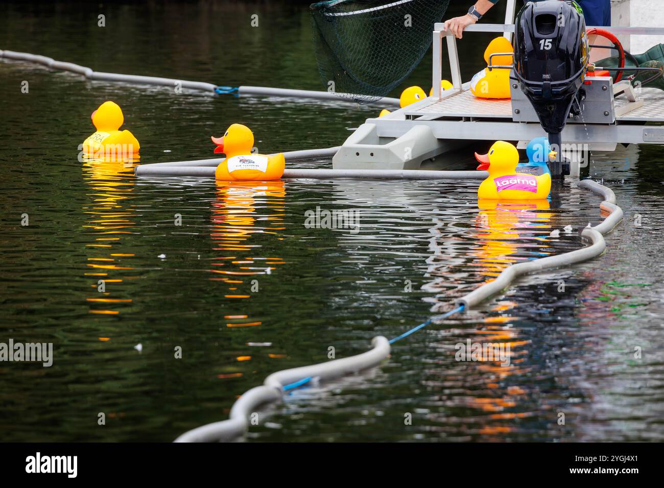 The Great Warrington and Latchford Duck Race Stock Photo - Alamy
