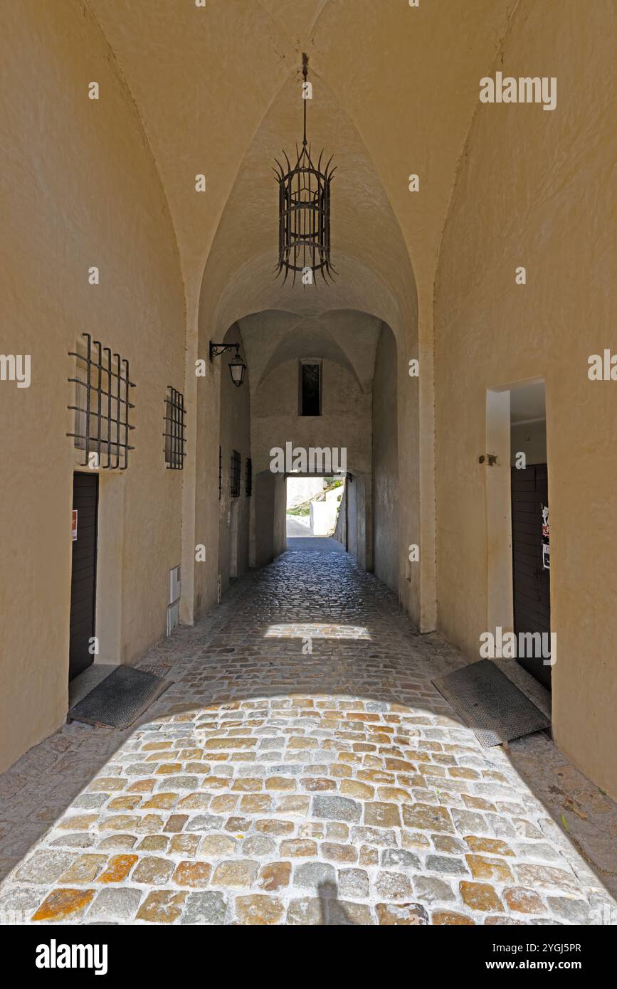 An arched stone corridor with a cobblestone floor, dim lighting, and ...