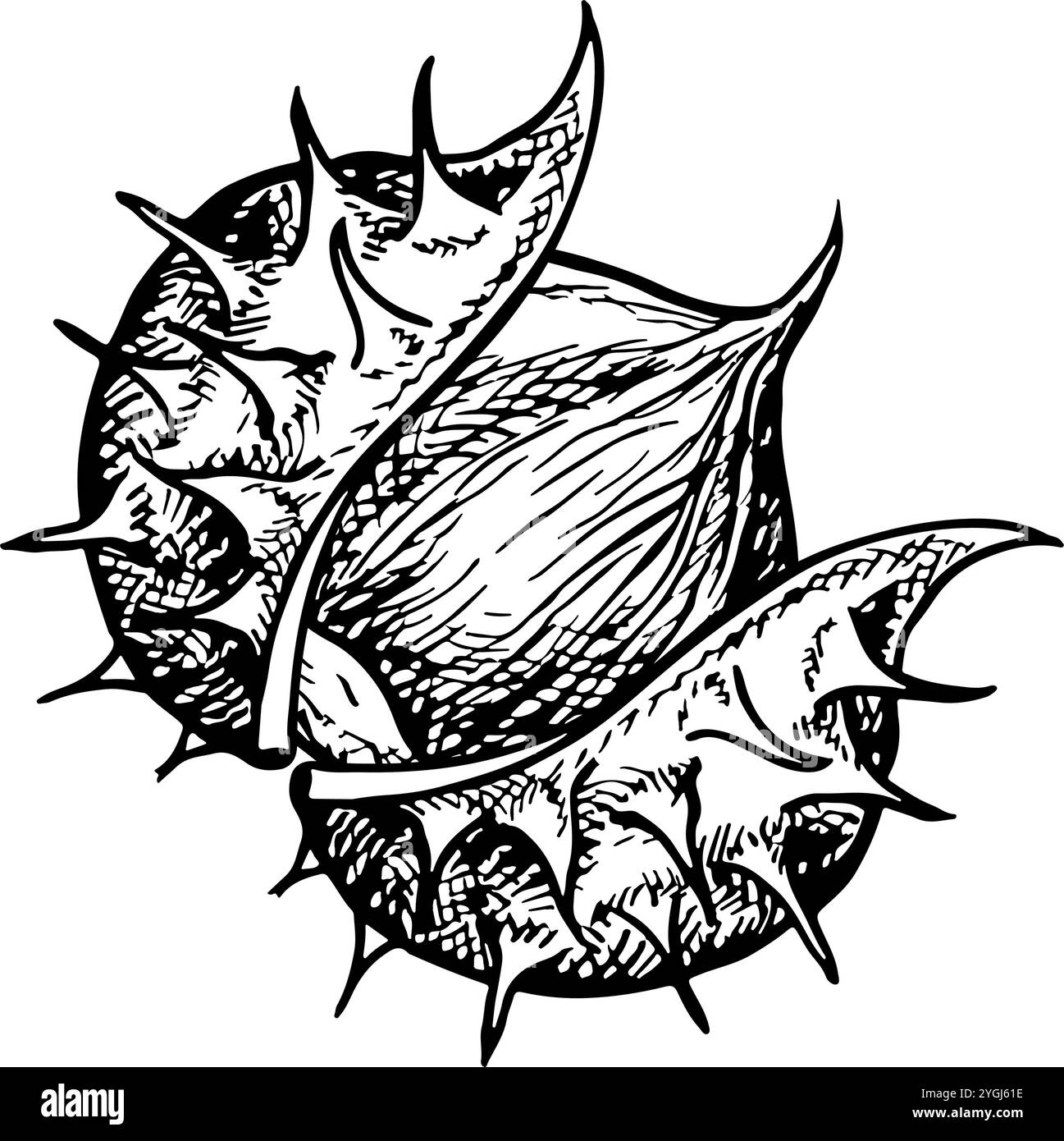 The chestnut is ripe. Vector graphics depicting the fruits of a ripe ...