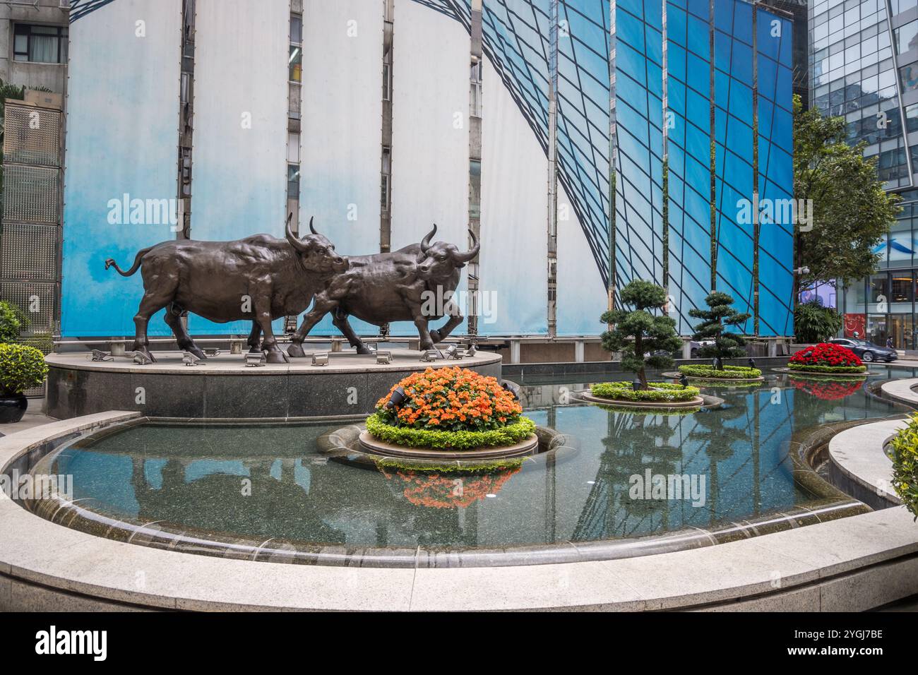 Bronze Bull Statues in Modern Urban Plaza with Reflective Pool in Hong ...