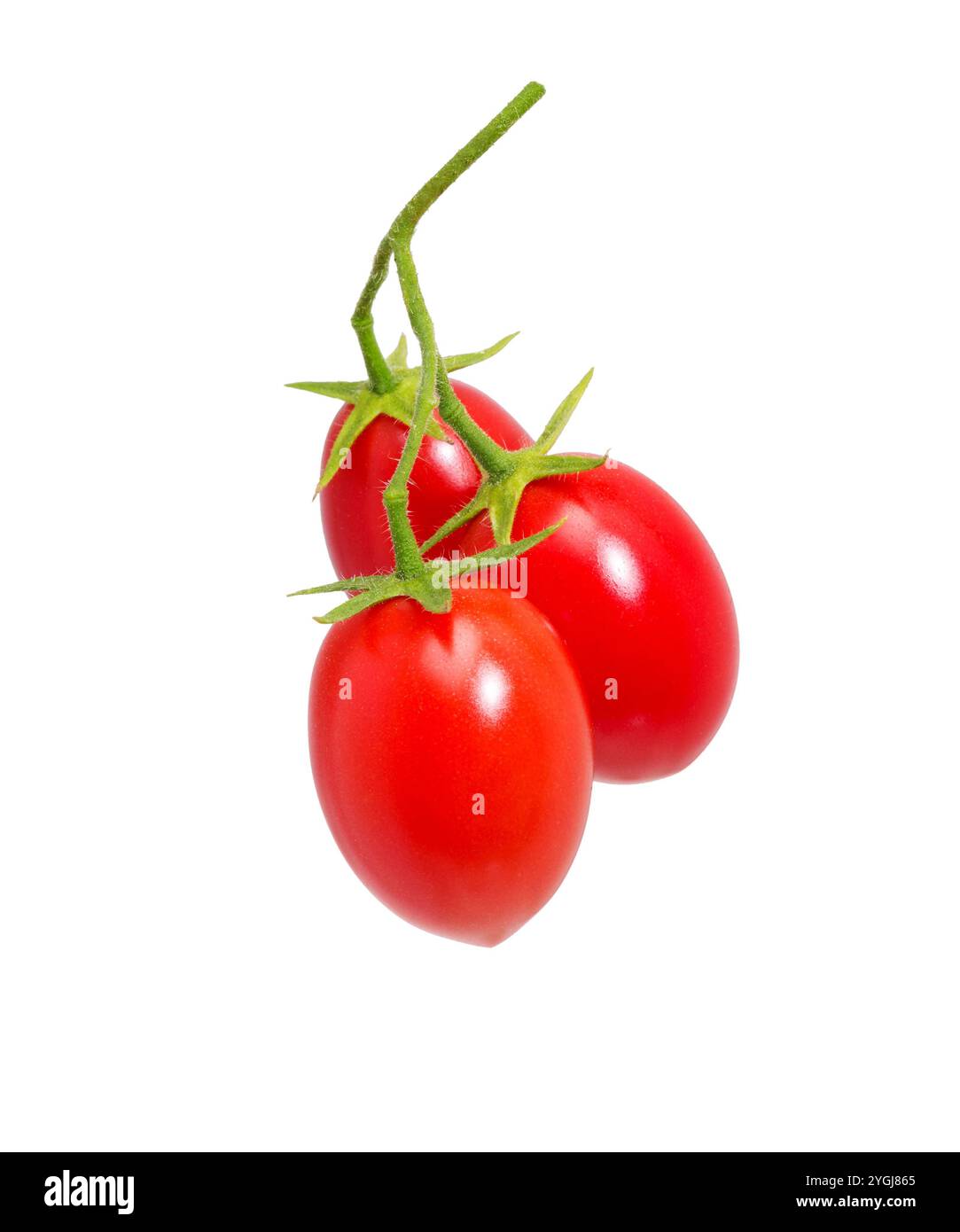 Composition tomato leaves Cut Out Stock Images & Pictures - Alamy