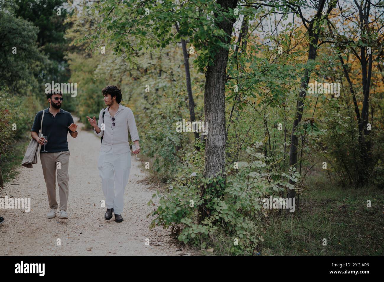 Two friends enjoying a nature walk on a forest path Stock Photo - Alamy