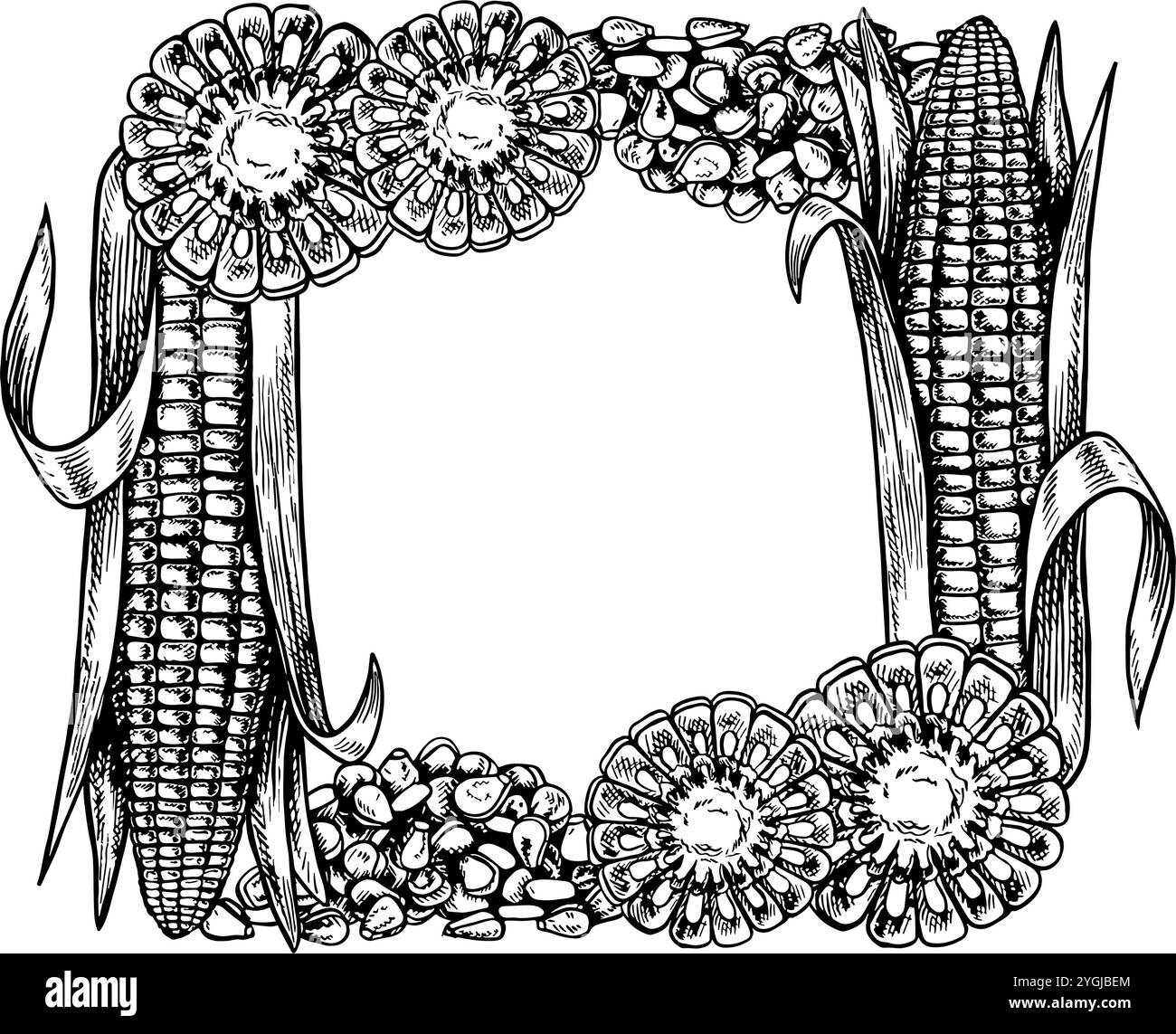 A frame with corn. Vector graphics depicting sliced corn cobs and a ...