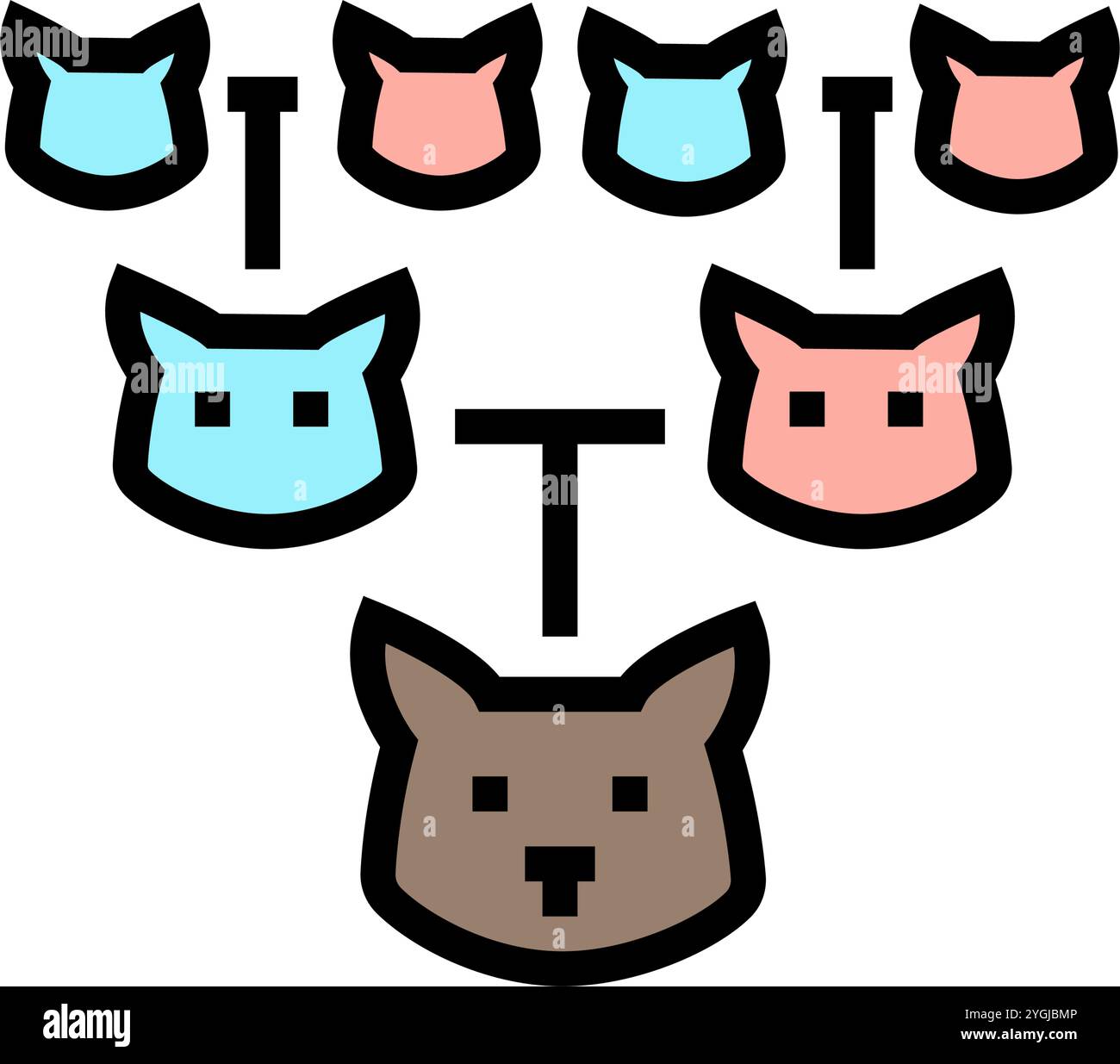 pedigree chart cat breeding color icon vector illustration Stock Vector ...