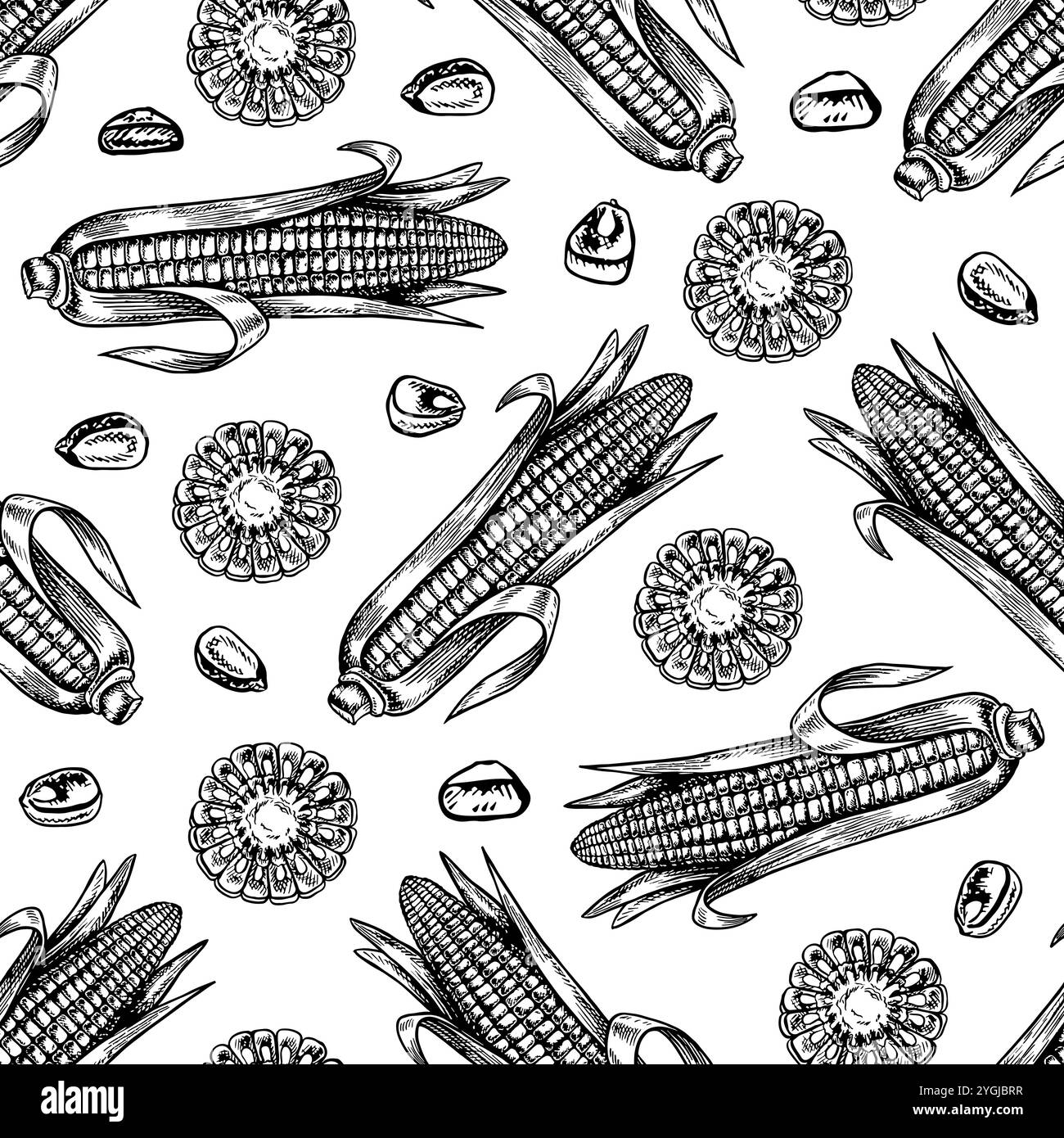 Seamless corn pattern. Vector graphics depicting sliced and whole corn ...