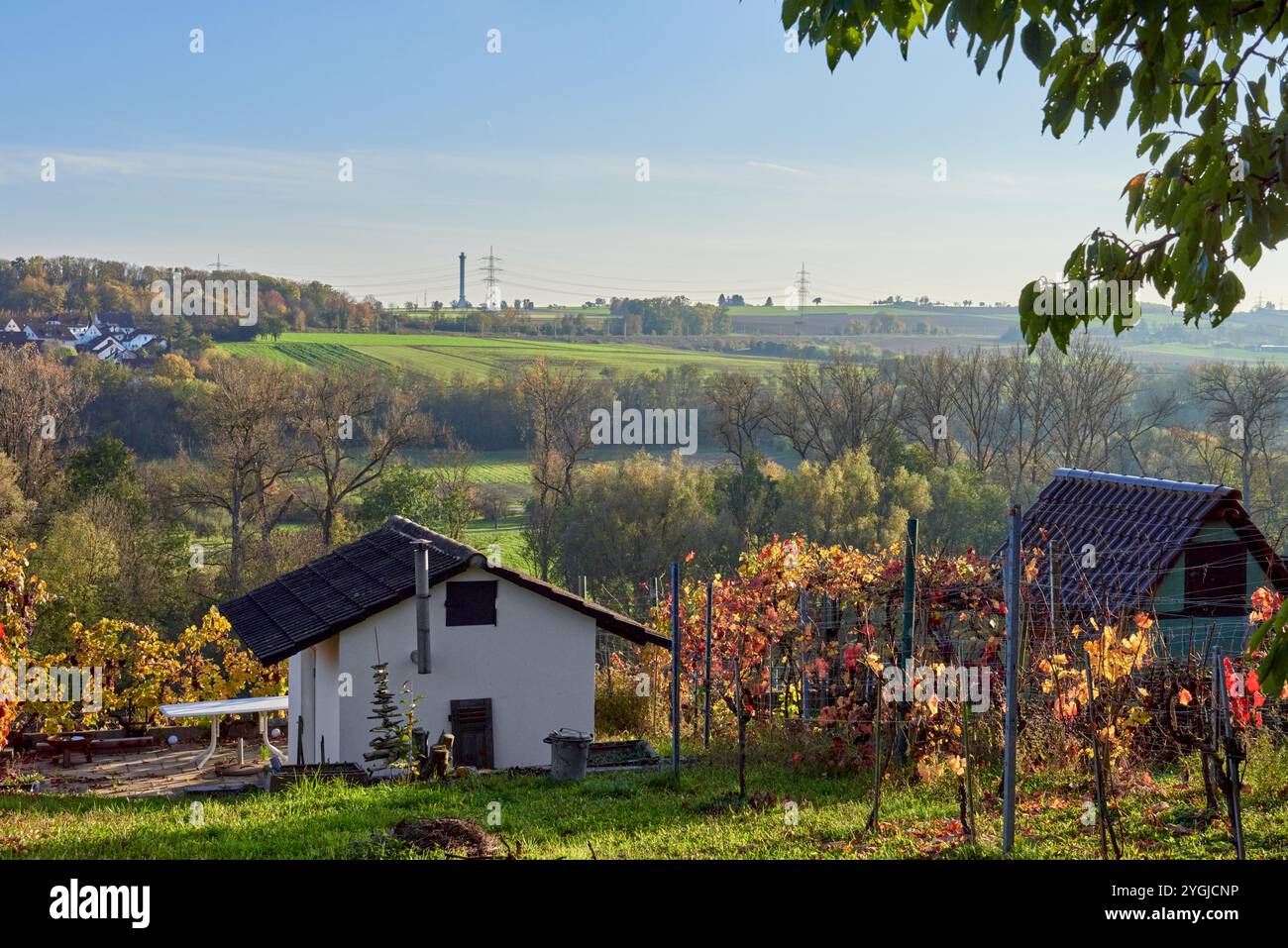 A Scenic and Picturesque Vineyard Landscape Featuring Quaint Houses ...