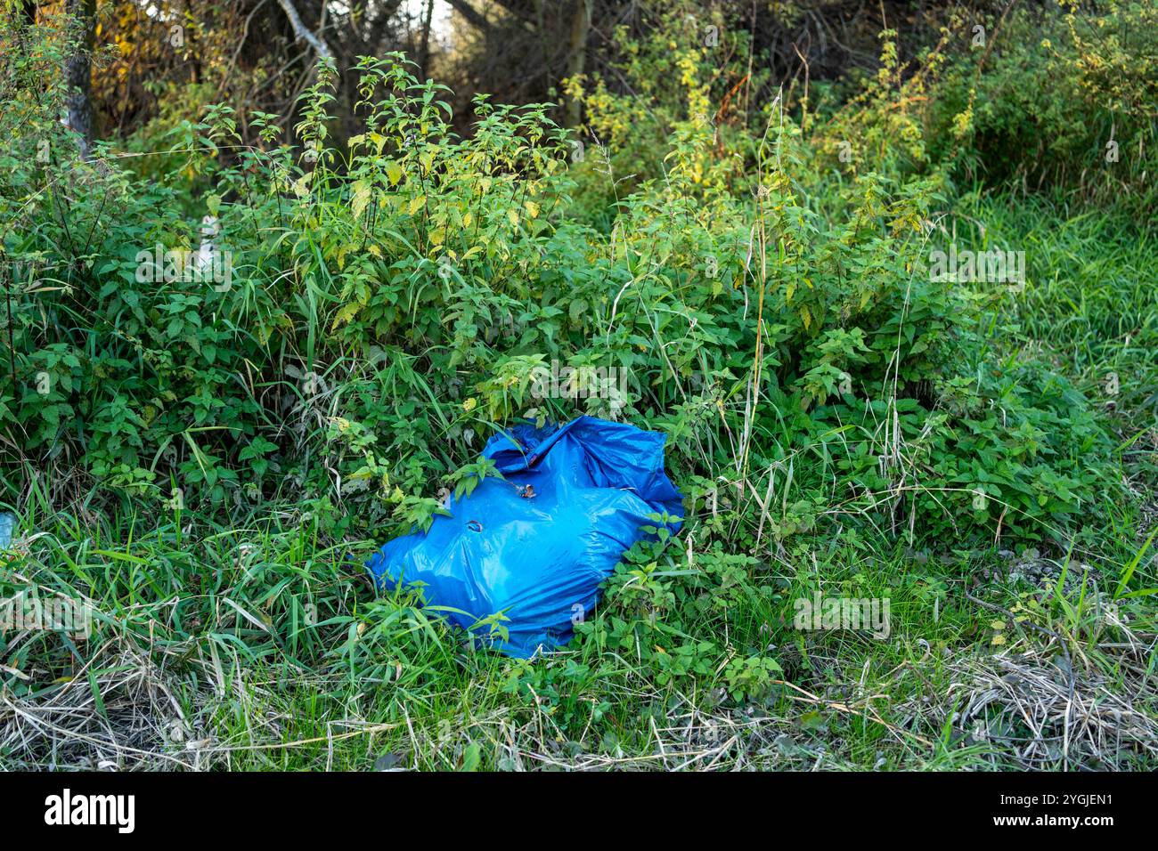 Discarded Garbage Bags in Forested Areas Stock Photo - Alamy