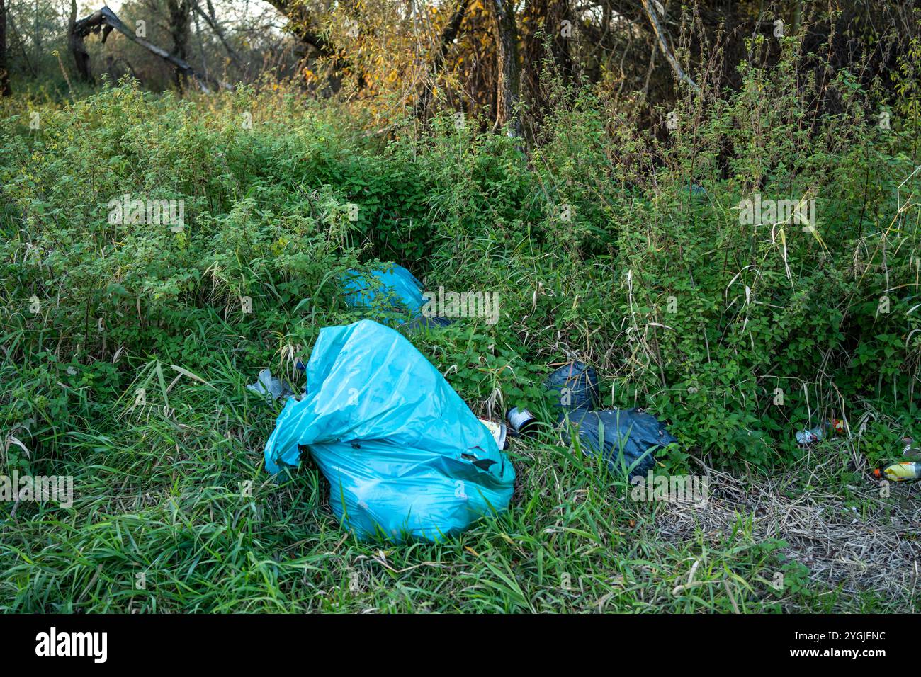 Littered area plastic waste hi-res stock photography and images - Alamy