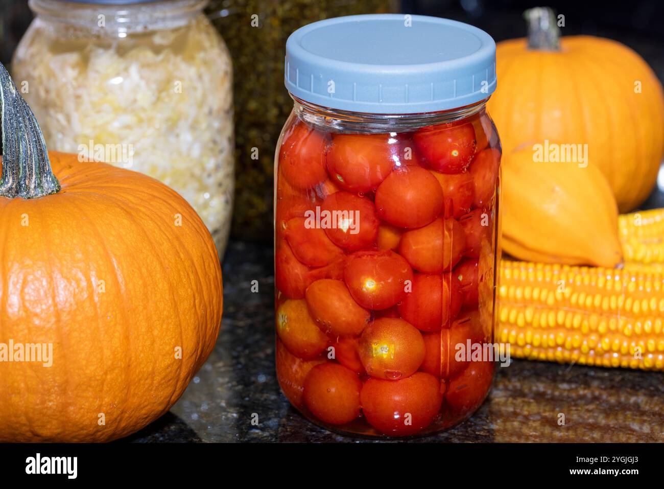 Cherry tomatoes and cabbage being fermented in mason jars on a kitchen ...