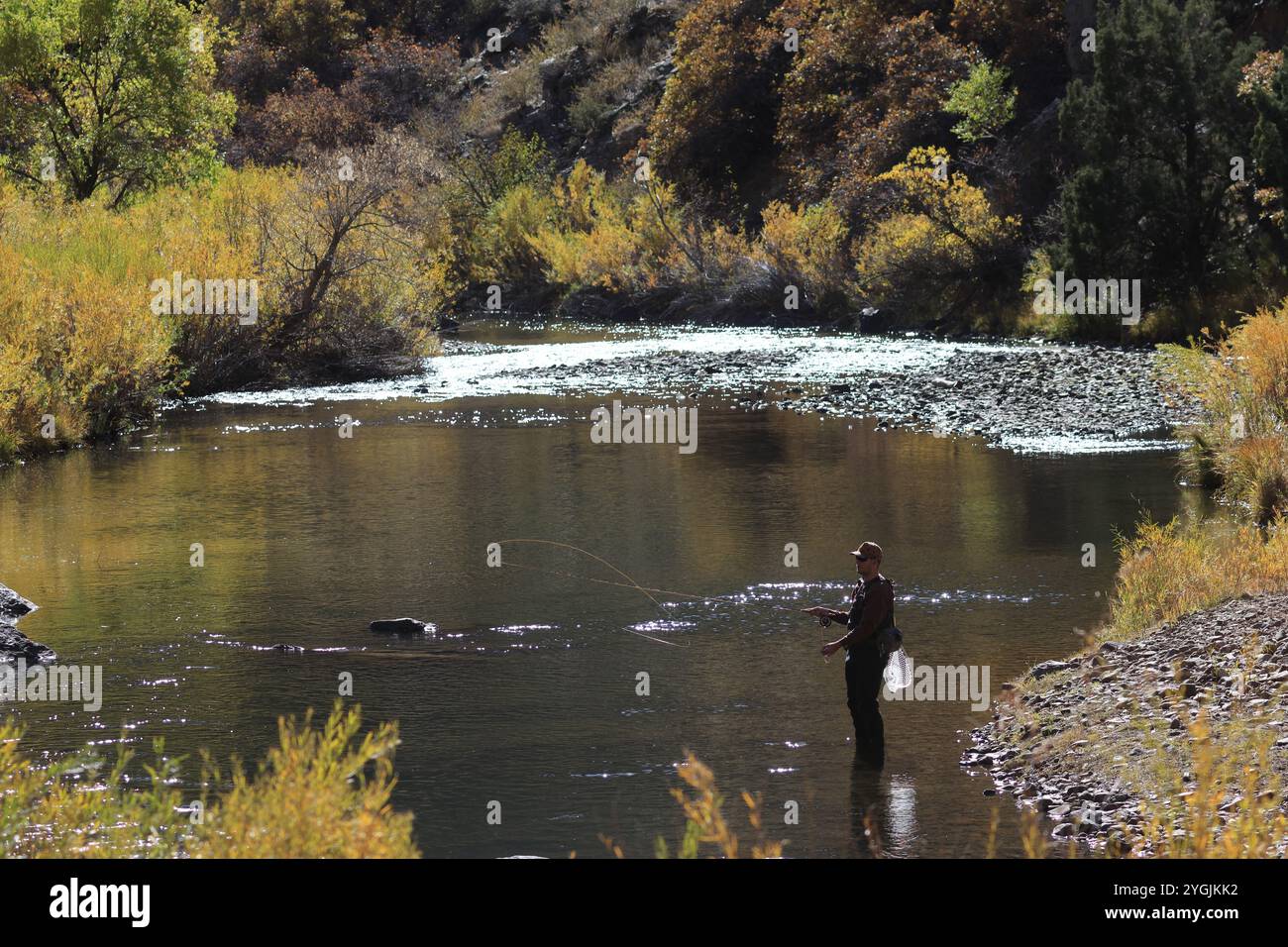 Fly fishing in Waterton Canyon Colorado Stock Photo - Alamy