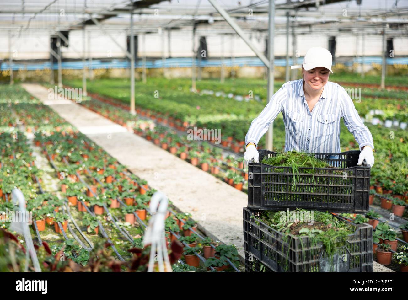 Female farmer arranging boxes hi-res stock photography and images - Alamy