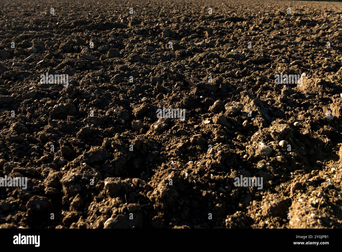 freshly plowed, field, soil Stock Photo - Alamy