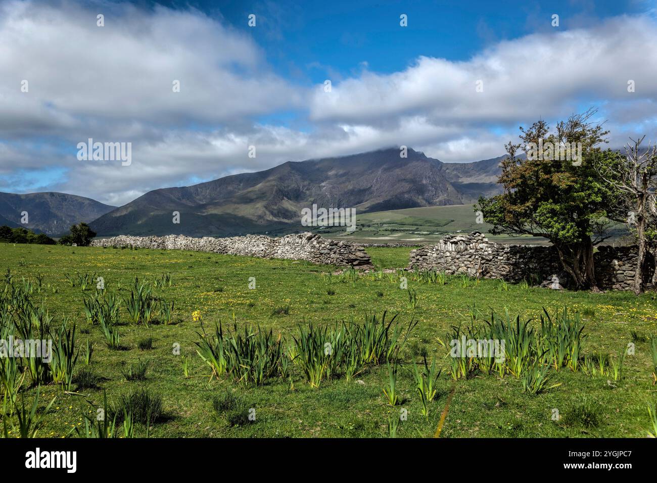 Irish landscape, Ireland, Europe Stock Photo - Alamy
