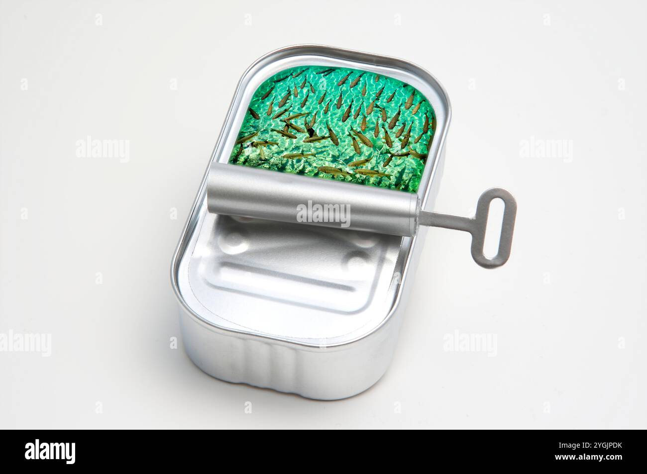 Tin can, fish, symbolic image of overfishing Stock Photo - Alamy