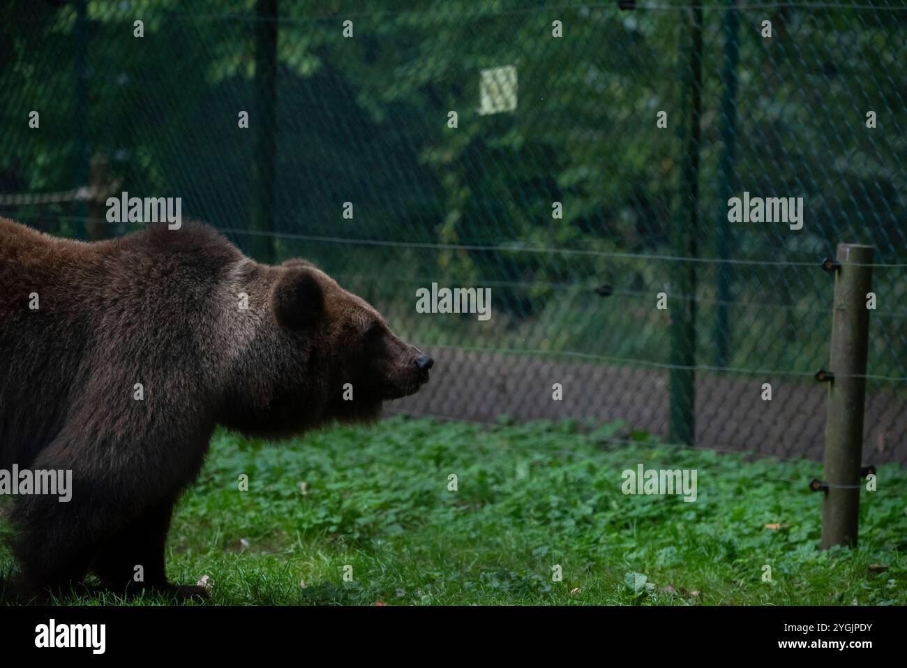 Private zoos hi-res stock photography and images - Alamy