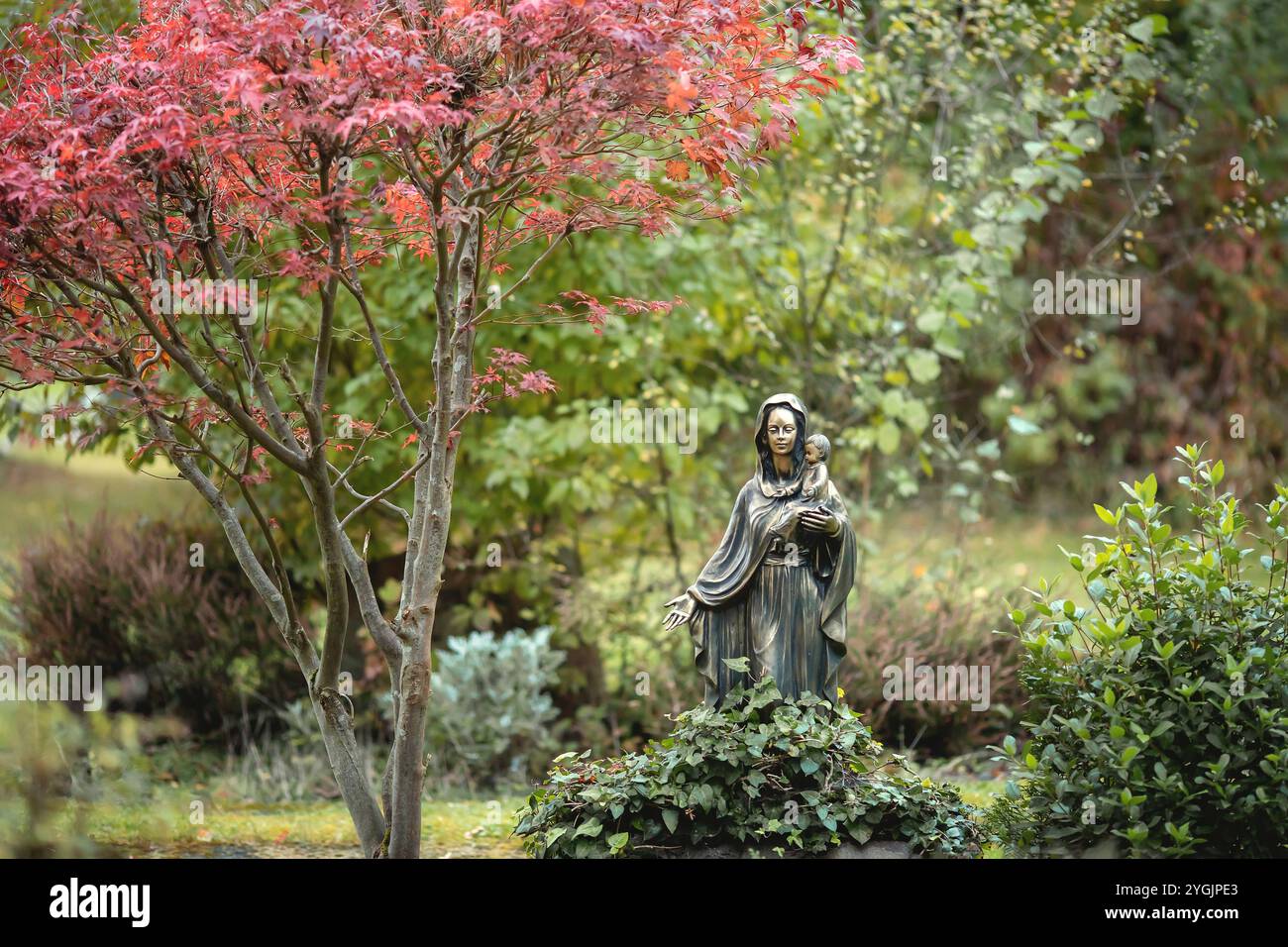 The forest cemetery in fall Stock Photo - Alamy