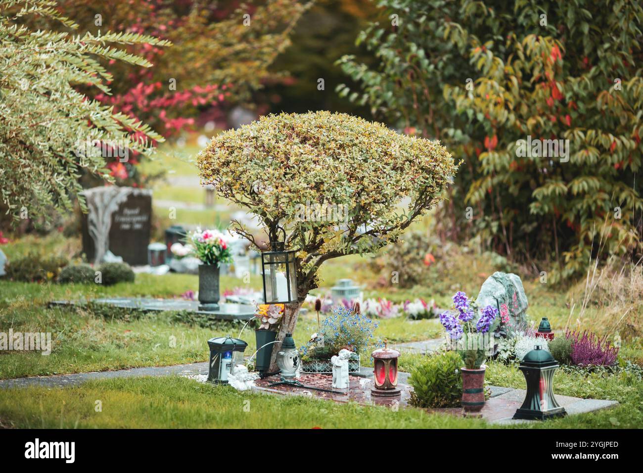 The forest cemetery in fall Stock Photo - Alamy