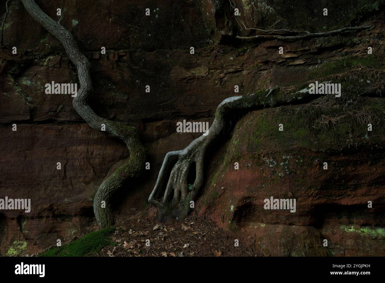 Rock branch north hi-res stock photography and images - Alamy