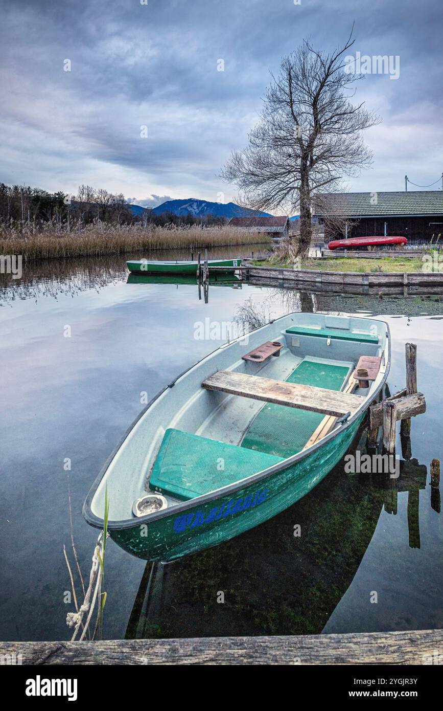 Tree bavaria rowing boat hi-res stock photography and images - Alamy