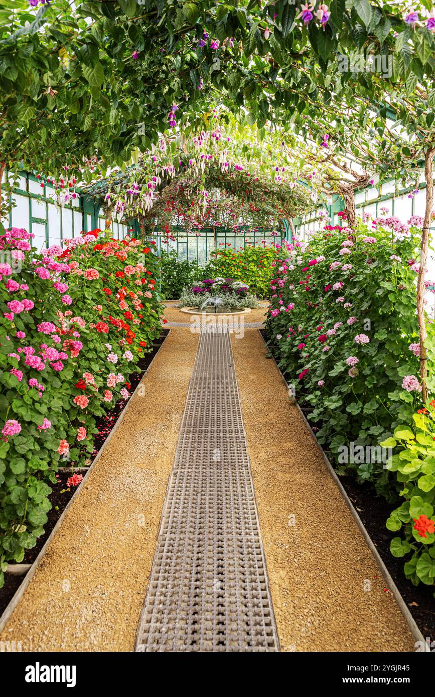 Interior royal palace brussels hi-res stock photography and images - Alamy