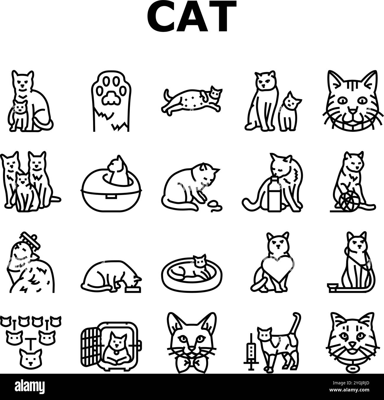cat breeding genetics cattery icons set vector Stock Vector Image & Art ...