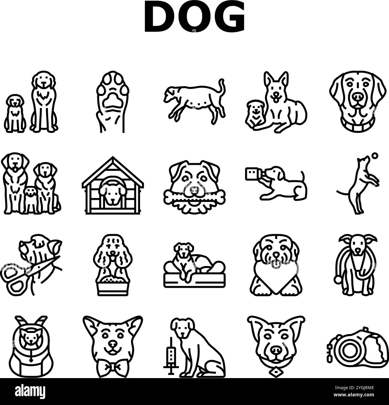 Socialization of the dog Stock Vector Images - Alamy