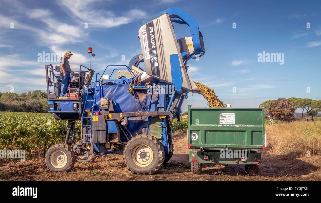 Grapes machine hi-res stock photography and images - Alamy