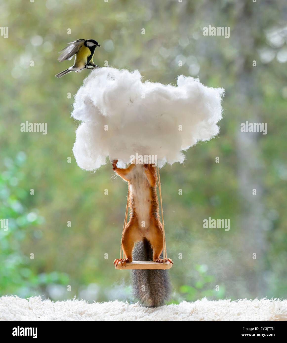 Rodent cloud hi-res stock photography and images - Alamy