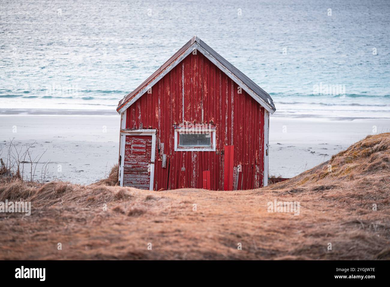 Lofoten, Norway, winter, red hut on the beach Stock Photo - Alamy