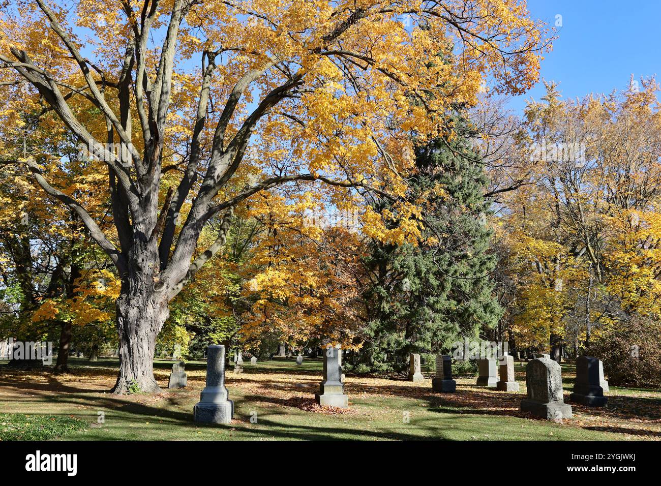 Toronto, Canada - November 7, 2024: Mount Pleasant cemetery in Toronto ...