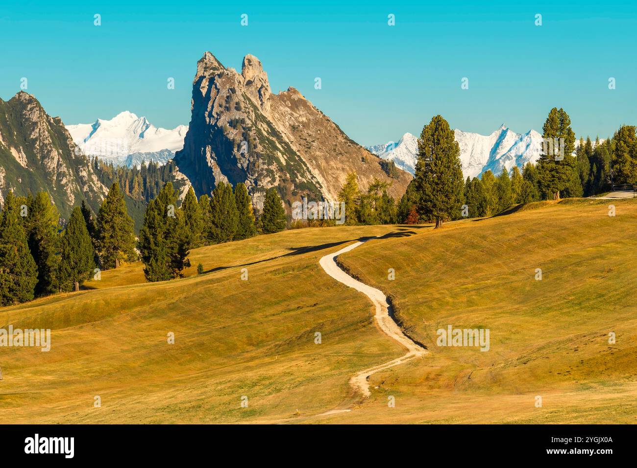 view over the Prato Piazza to the Braies Dolomites, Italy, South Tyrol ...