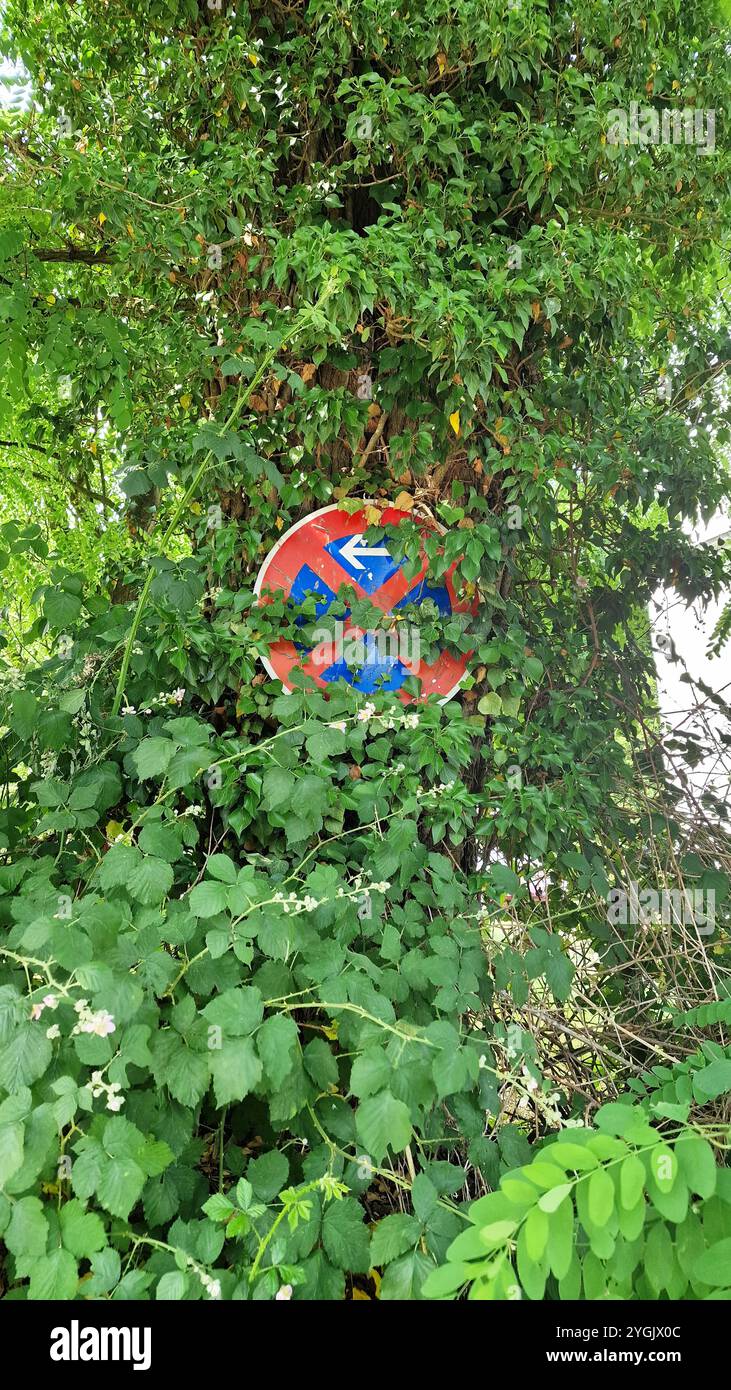 Overgrown road signs hi-res stock photography and images - Alamy