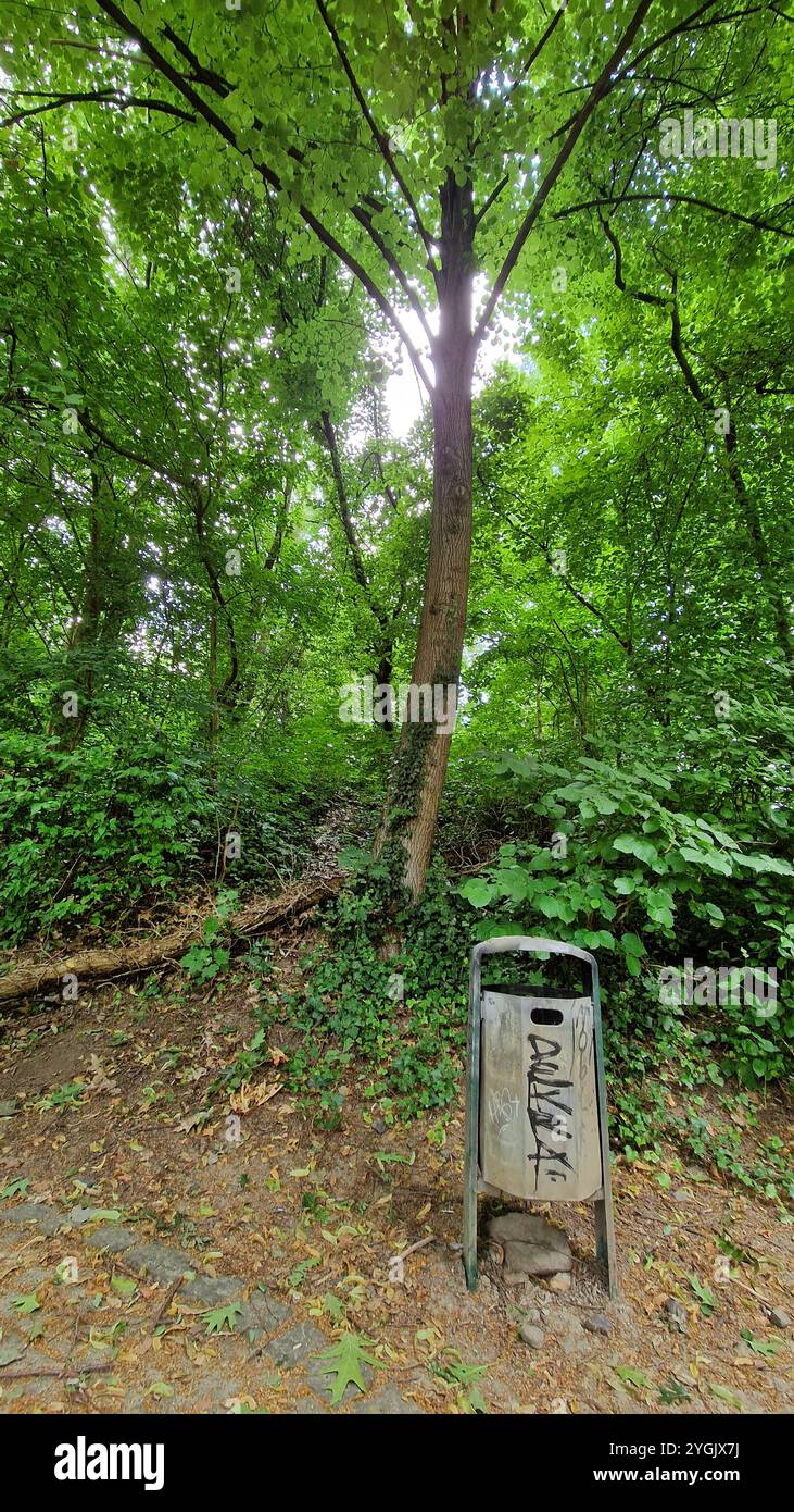 waste bin in the forest, Germany Stock Photo - Alamy