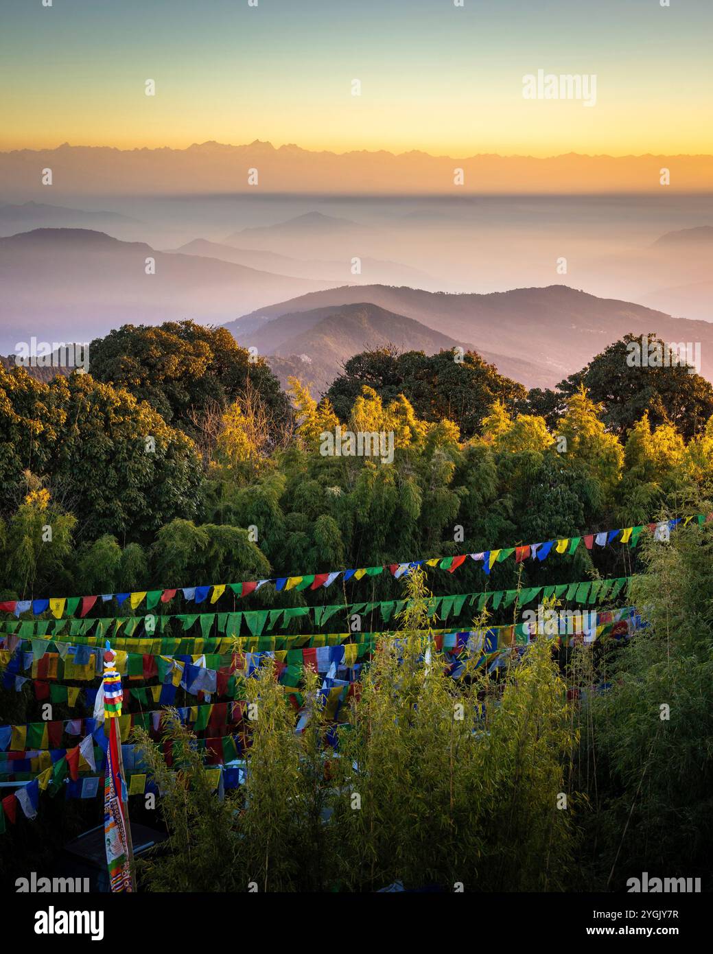 Darjeeling in the Himalayas, North India, view of mountains and tea ...