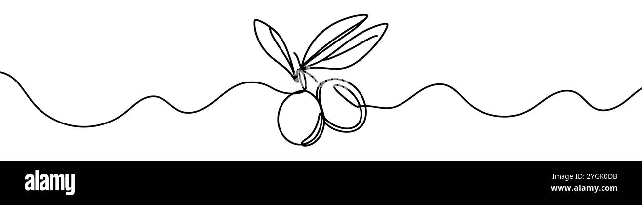 One continuous line illustration of an olive branch, isolated on white background. Line art of ...