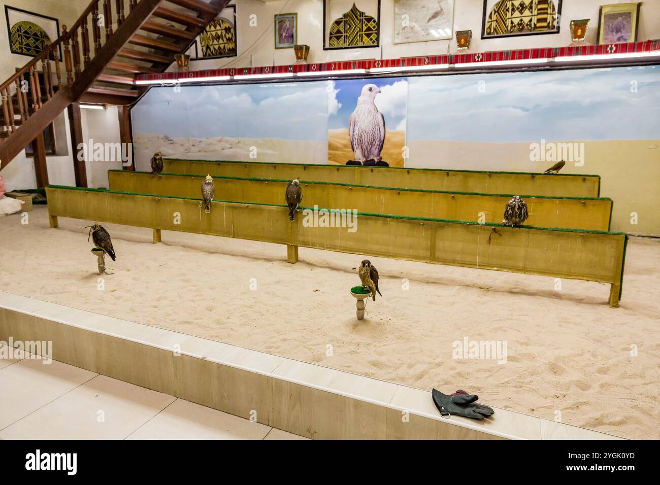 Hunting falcons at the Falcon Center, Birds Center, Falcon Souq, Souq ...