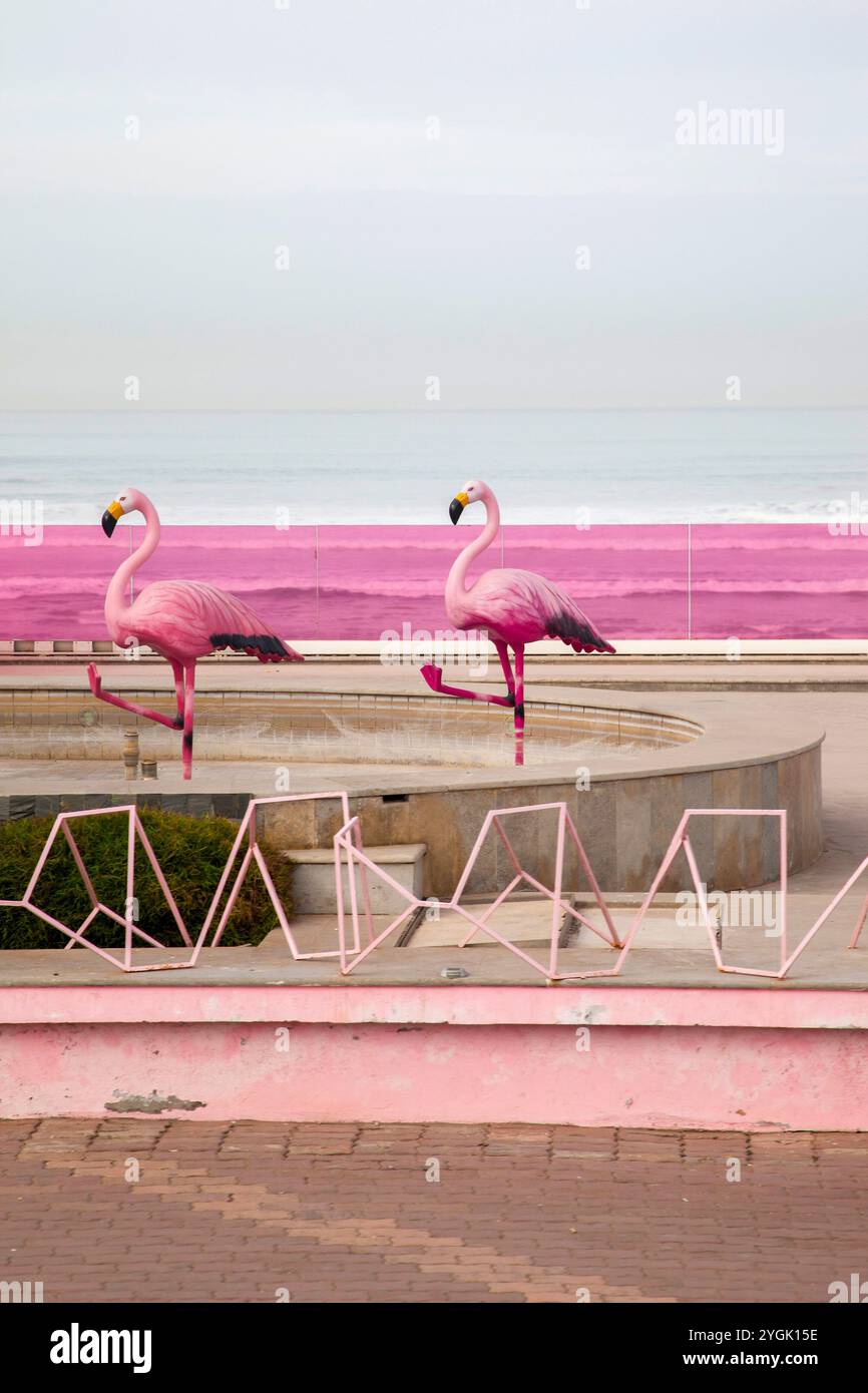 Casablanca, Fountain, Flamingo, City, Maghreb, Morocco, Africa, African ...