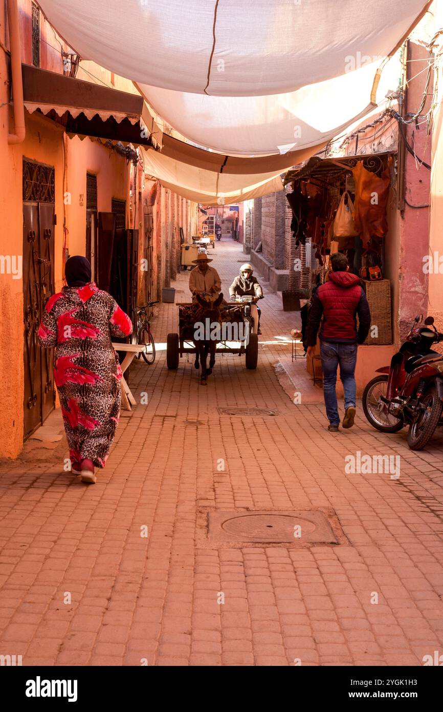 Marrakech, market, donkey, cart, medina, souk, store, city, Maghreb ...