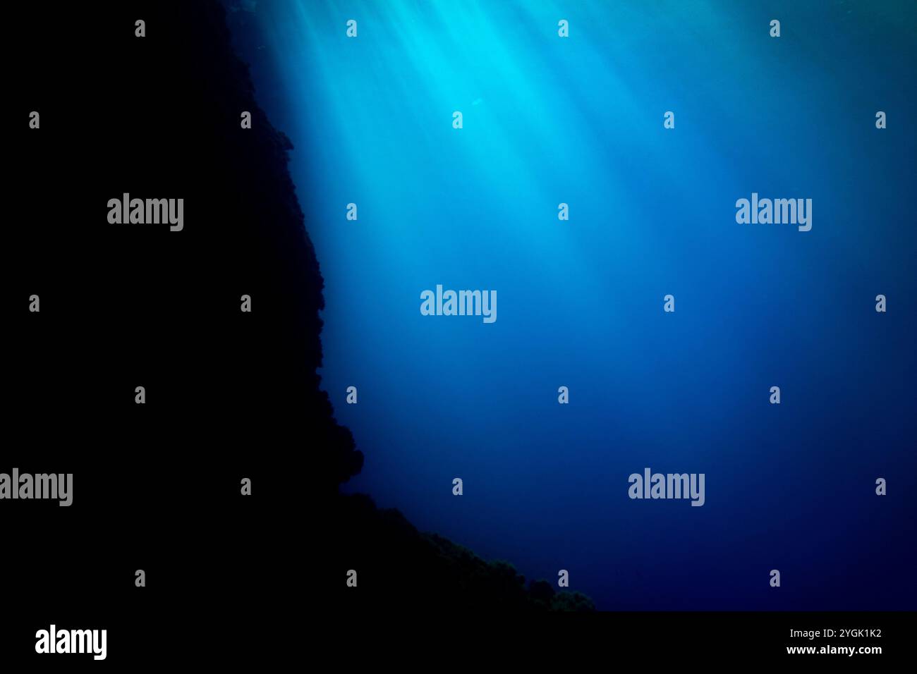 Aquatic rays hi-res stock photography and images - Alamy