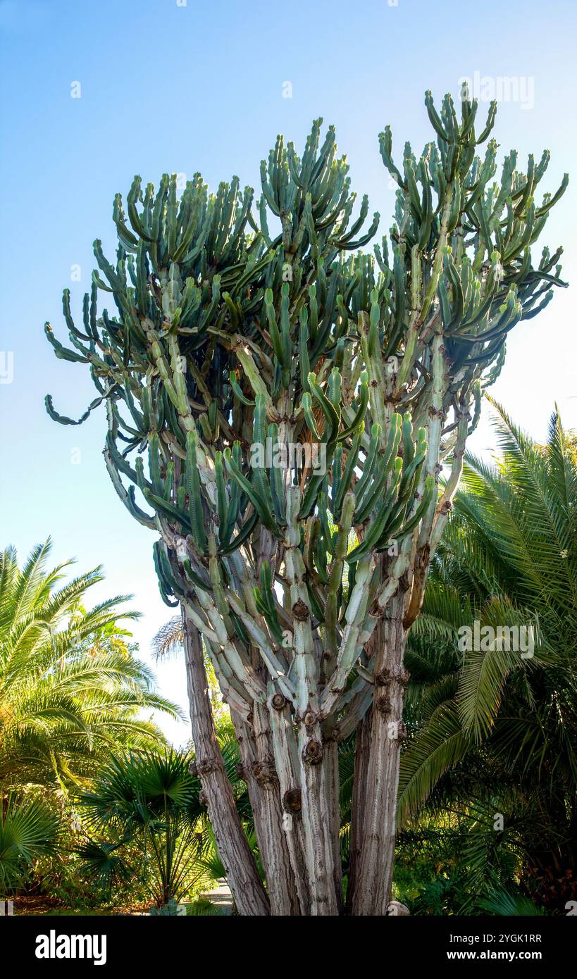 Marrakech, garden, Ourika Valley, Anima, André Heller, sight, Andre ...