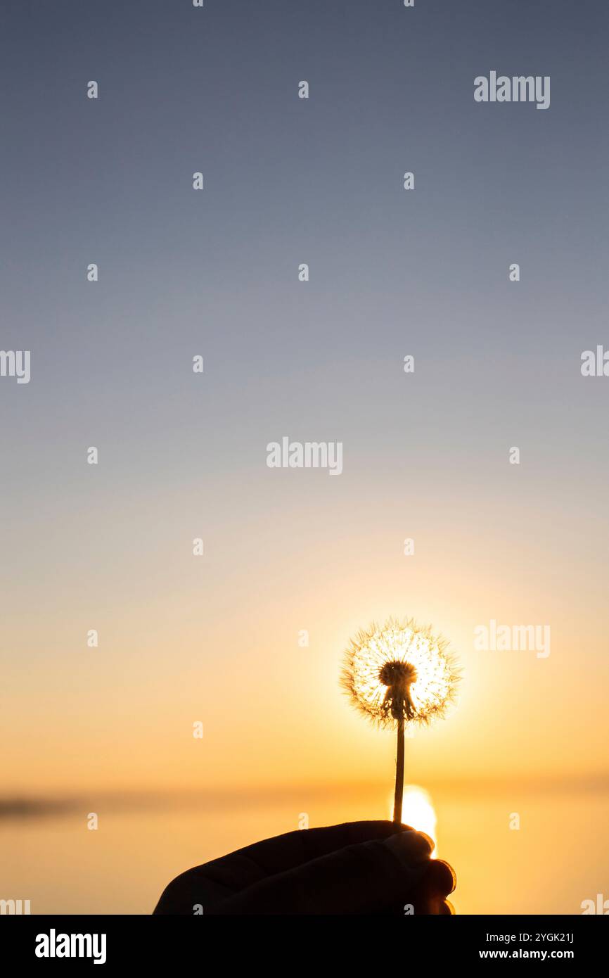 Beautiful view lake shore sunset hi-res stock photography and images ...