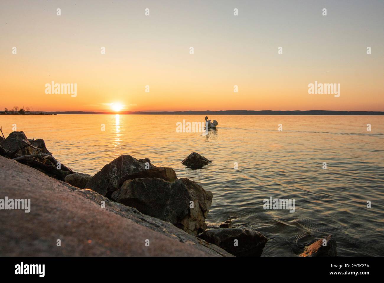 Sunset on the shore of a lake in summer. Colorful sky with a wide view ...