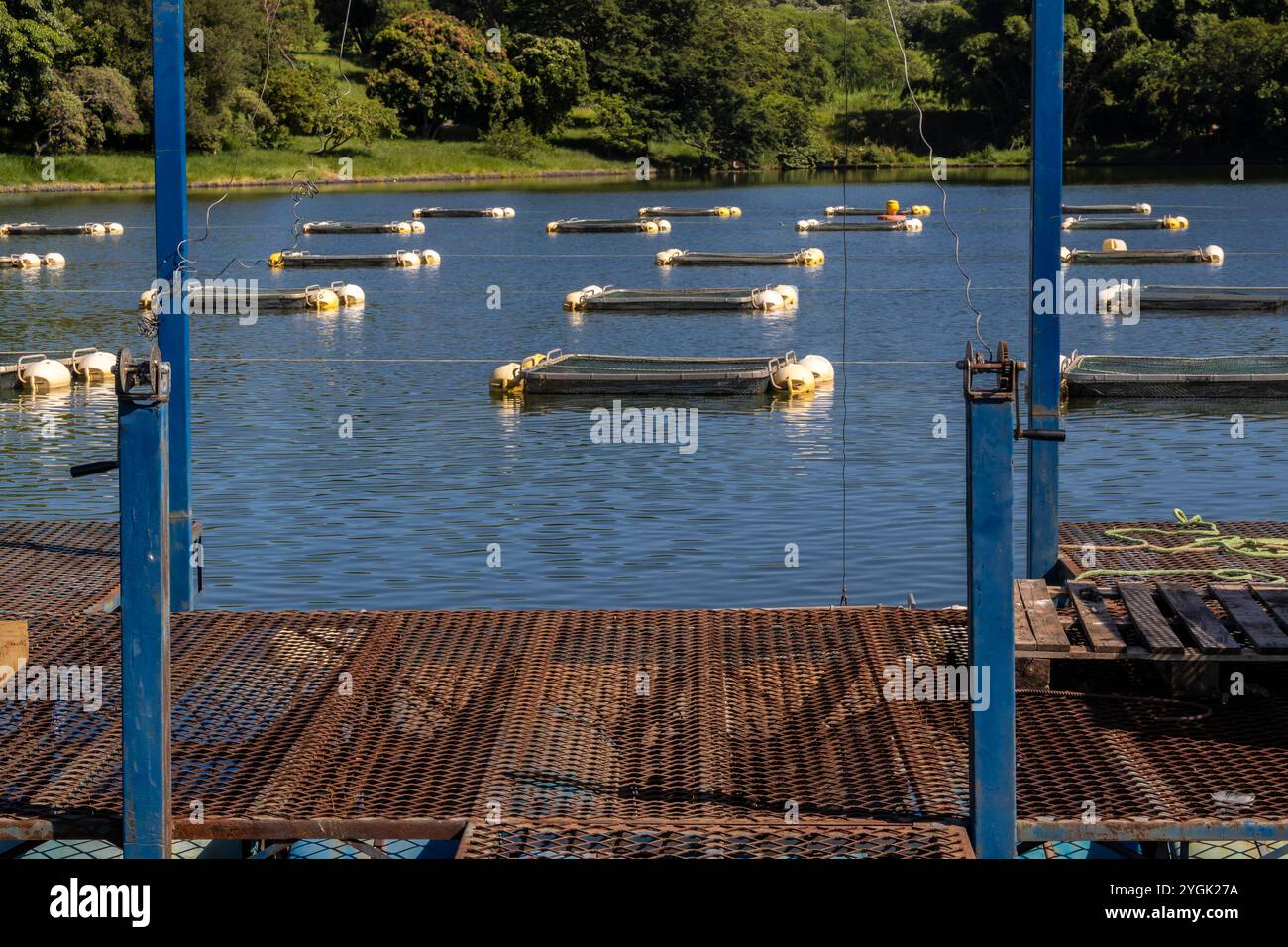 Tanks web used for raising tilapia on a fish farm in Brazil Stock Photo ...