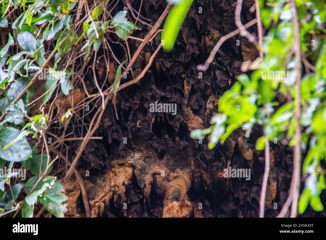Abandoned and dilapidated arena in Bali. This is where the forbidden ...