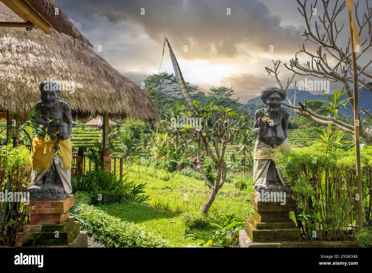 Beautiful tropical landscape. Rice fields, jungle and lots of nature on ...