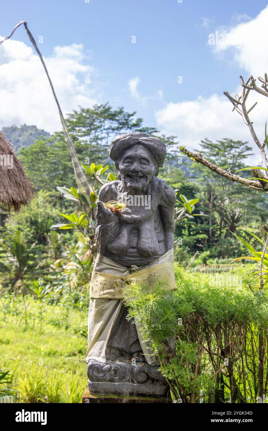 Beautiful tropical landscape. Rice fields, jungle and lots of nature on ...