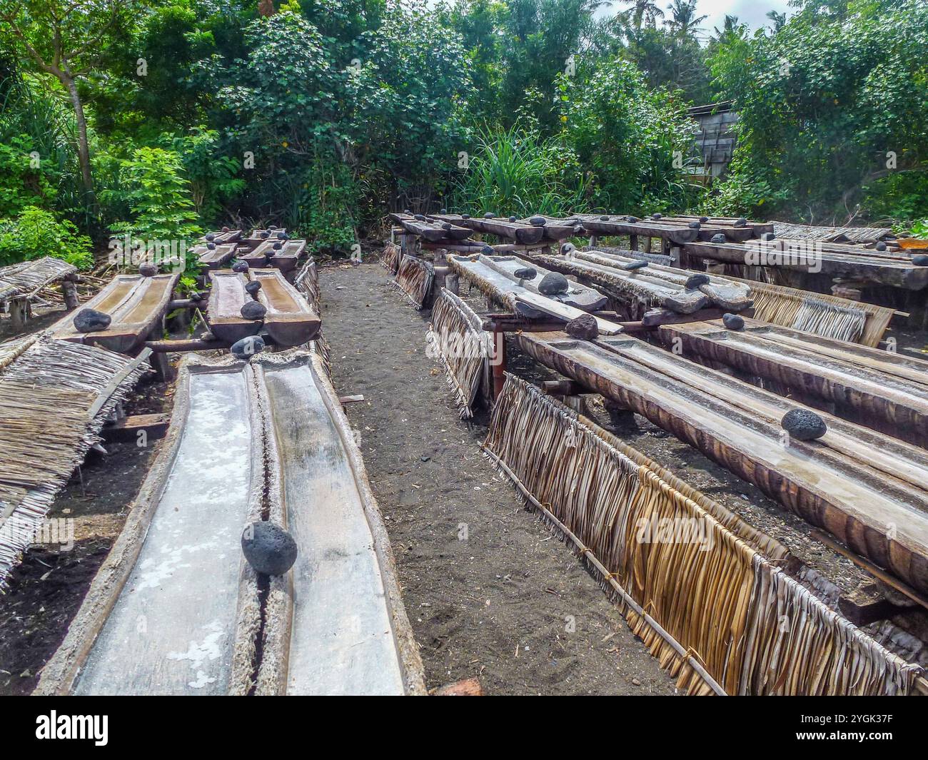 Traditional salt cultivation, mining by the famous salt farmers. Sea ...
